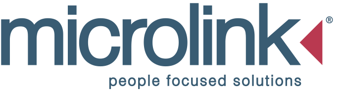 Built Environment - Microlink